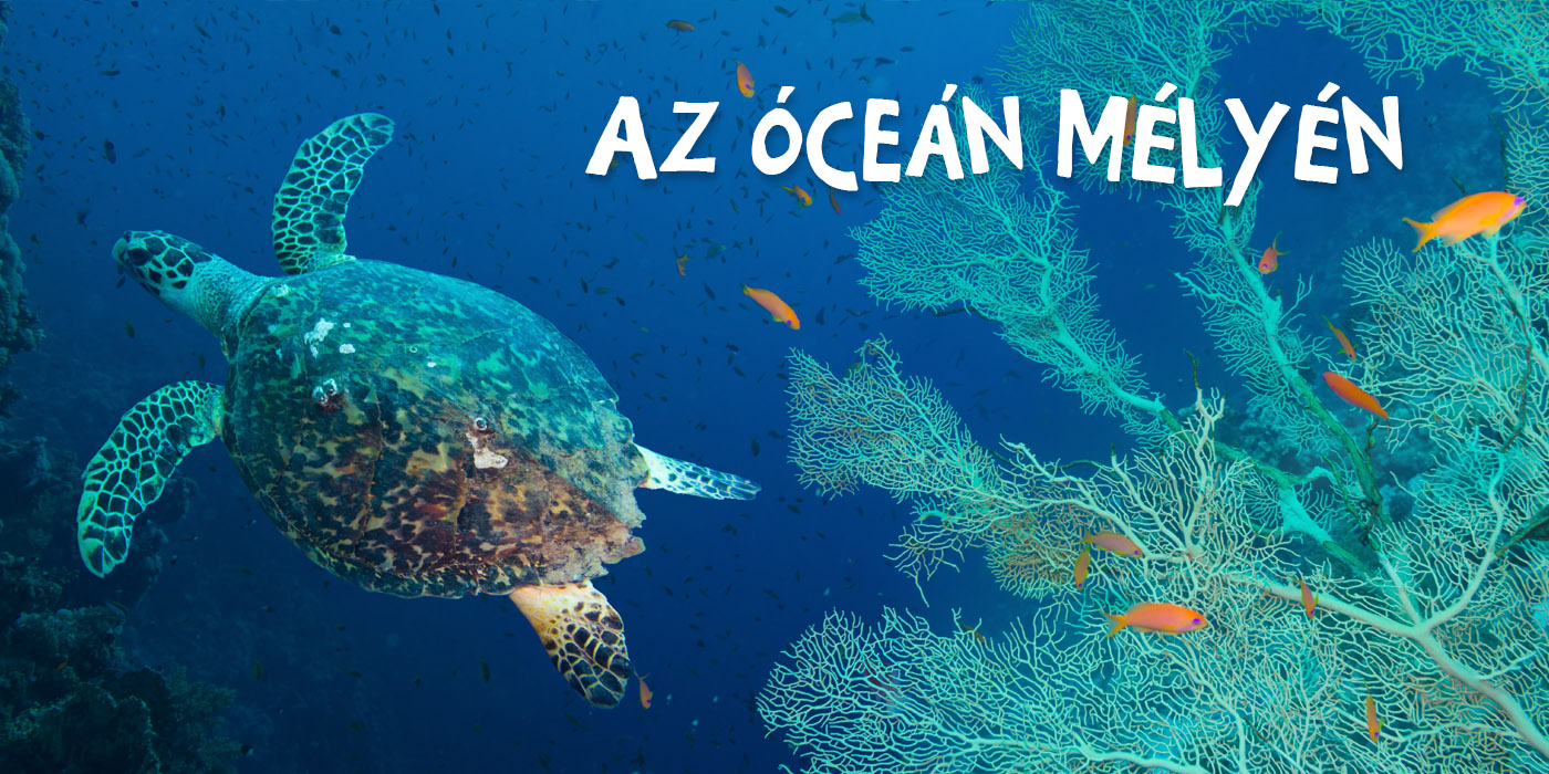 Az óceánok világa