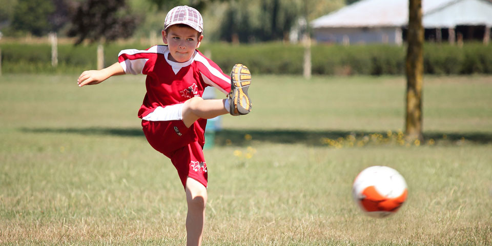 Ízig-vérig focis könyvek