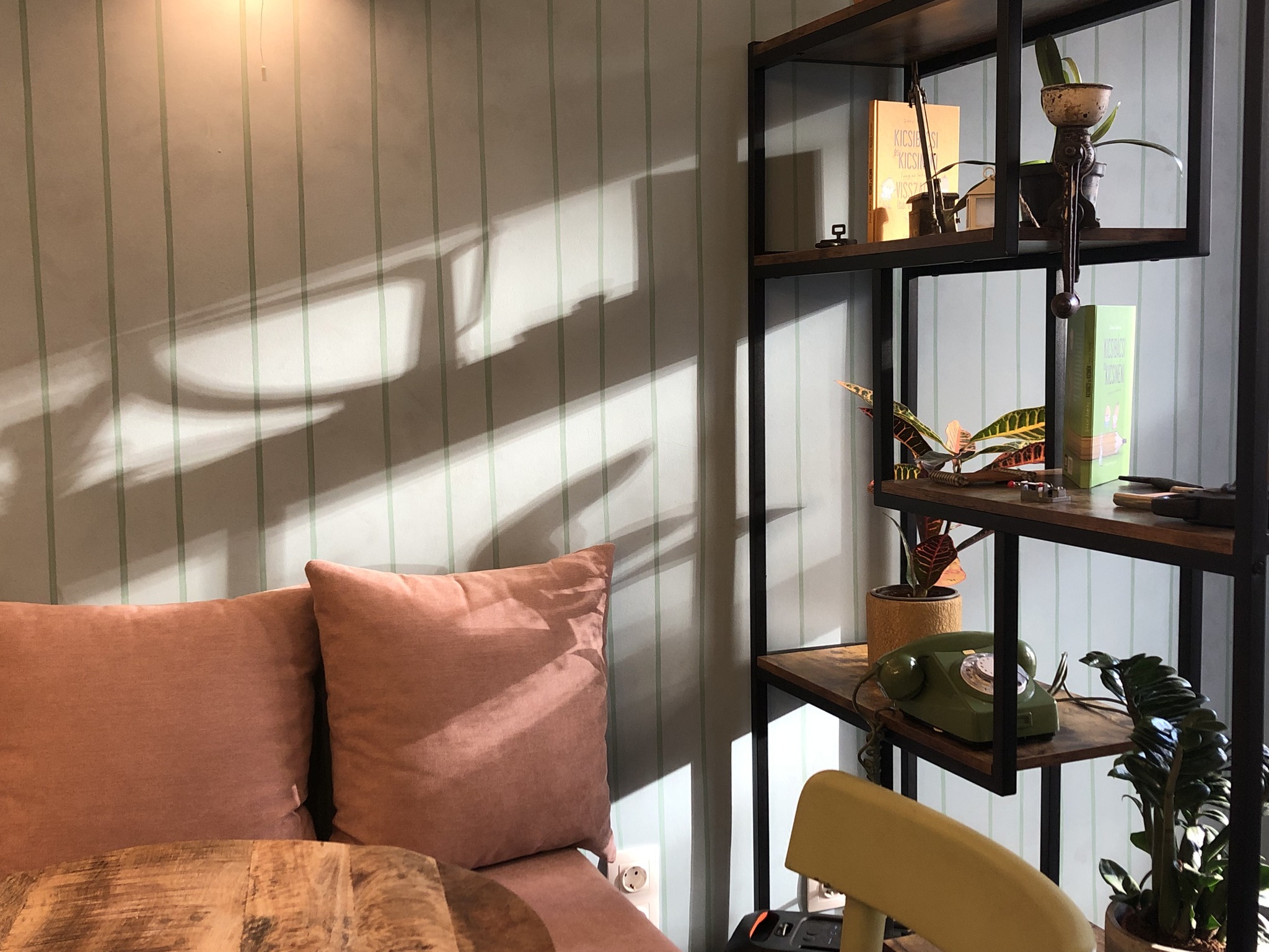 Megnyílt a Pagony Café - Dió!