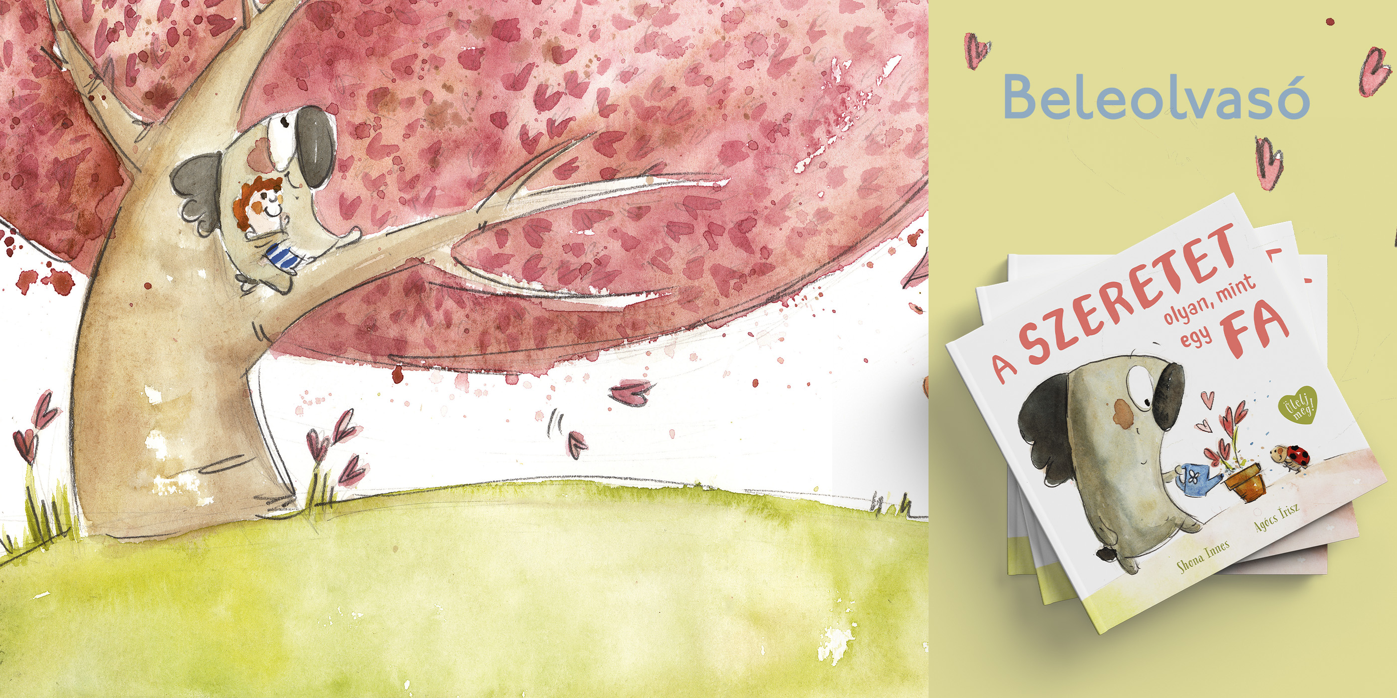 Gyönyörű, új könyvünk érkezett!